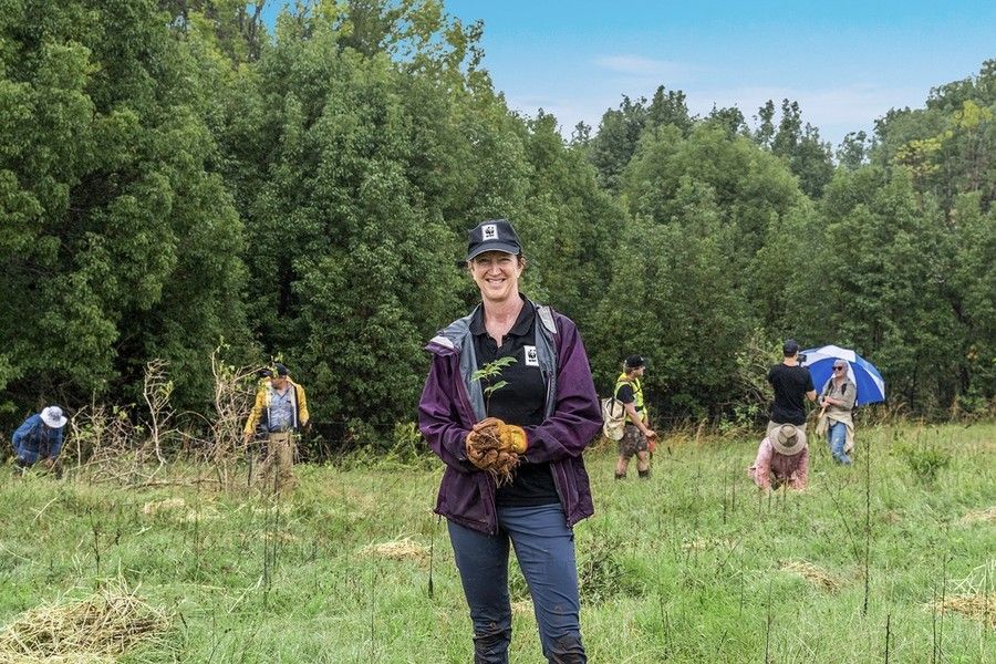 Feature Wwf Australia To Share In 500 000